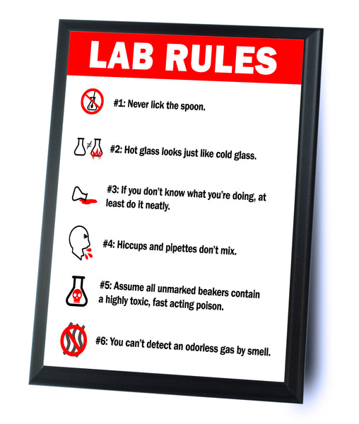 Lab Rules Funny Typography Wall Plaque 9x12 – Neurons Not Included™